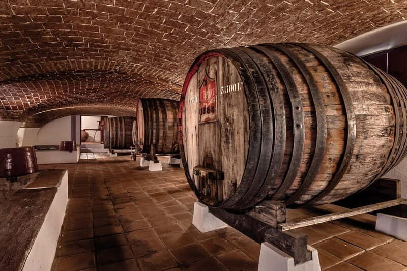 Reguengos de Monsaraz: José de Sousa Winery Tour and Tasting - Is This Tour Right for You?