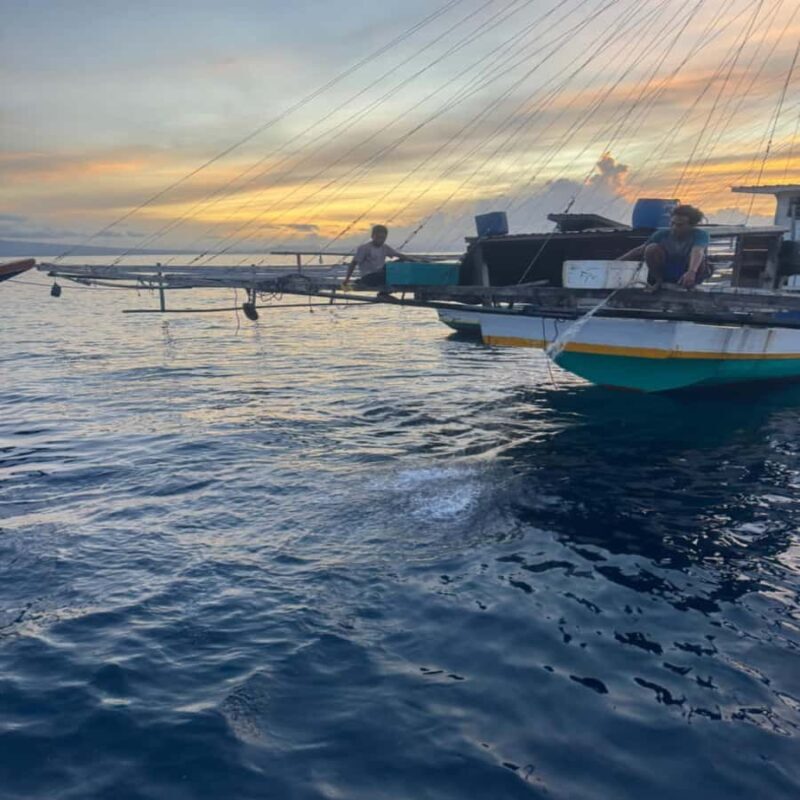 Regular Daily Sumbawa Whale Sharks One Day Tour - Key Points