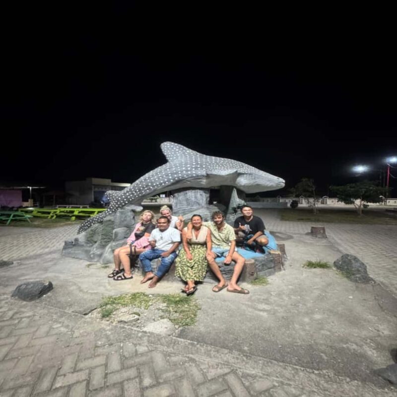 Regular Daily Sumbawa Whale Sharks One Day Tour - An In-Depth Look at the Sumbawa Whale Sharks Tour