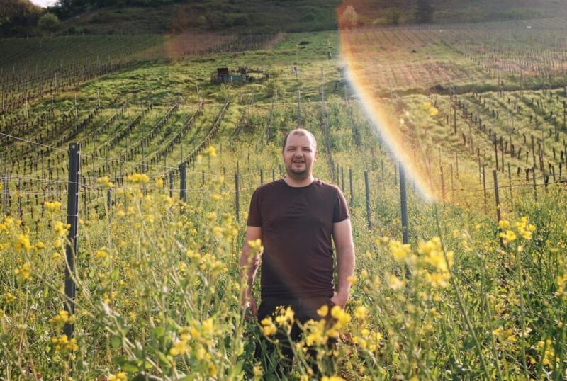 Reil, Mosel: Guided organic wine tasting and cellar tour - Final Thoughts