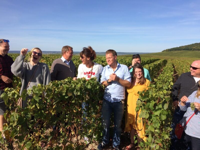 Reims/Epernay: Champagne Day Tour with Tastings - Itinerary Breakdown: What You Can Expect