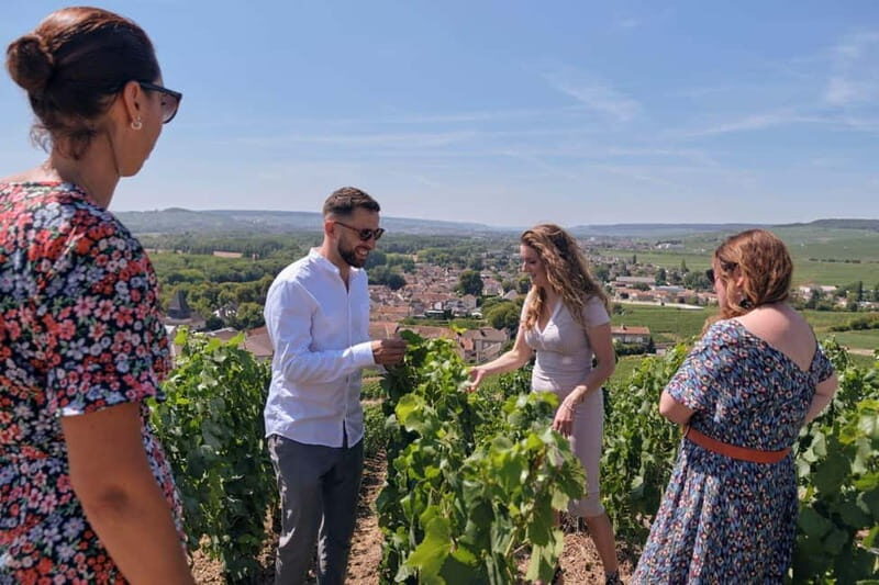 Reims or Epernay: Short day family growers & lunch - Practical Tips and Considerations