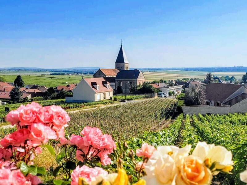 Reims: Veuve Clicquot Tasting Private Tour in Champagne - Logistics and Practicalities