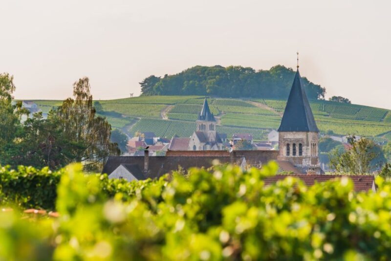 Reims: Veuve Clicquot Tasting Private Tour in Champagne - Who Should Consider This Tour?