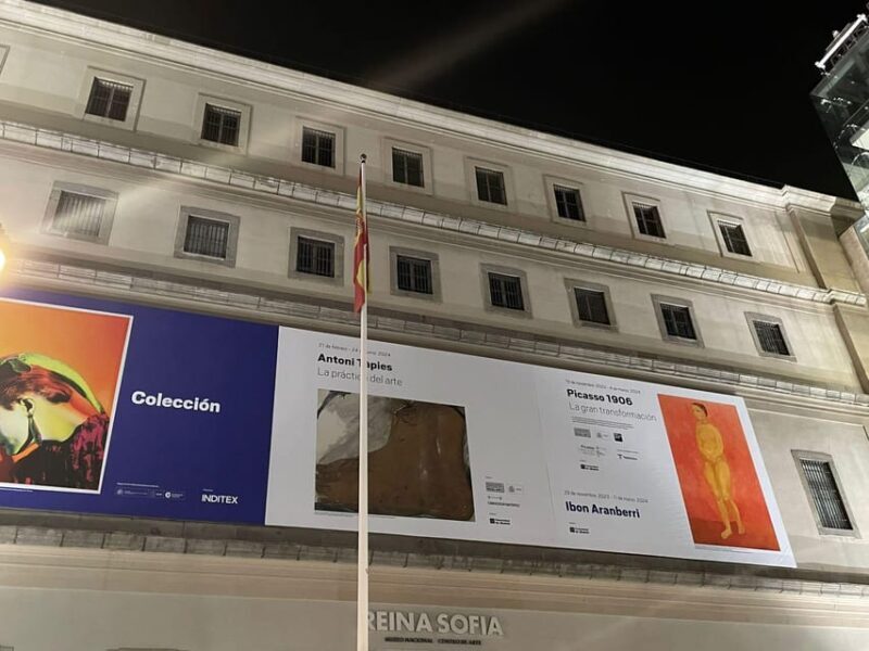 Reina Sofía Museum guided tour with ticket and skip the line - Authentic Experiences from Past Travelers