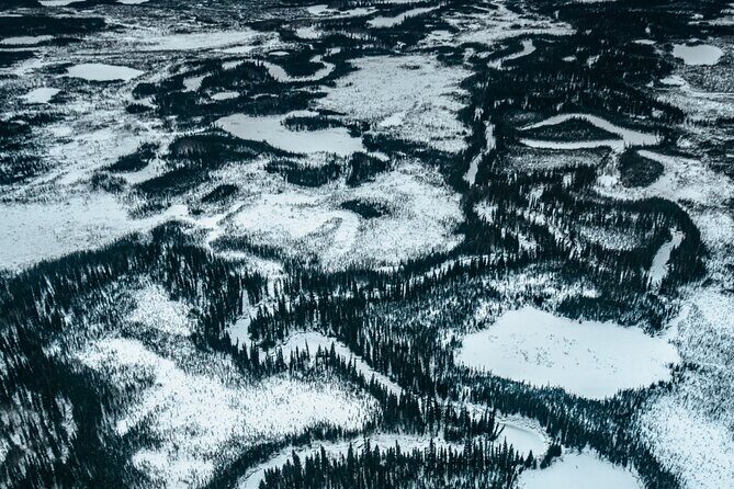 Reindeer and Heli Flightseeing Day Trip with Lunch - Authentic Experiences That Matter