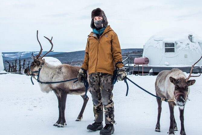 Reindeer and Heli Flightseeing Day Trip with Lunch - The Sum Up