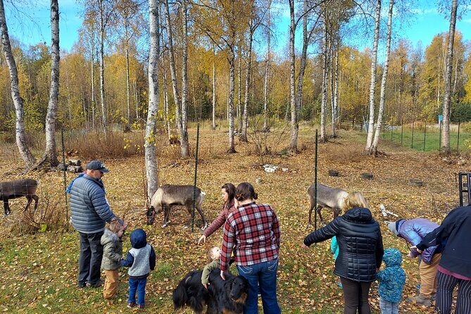 Reindeer Meet and Feed - Talkeetna - Key Points