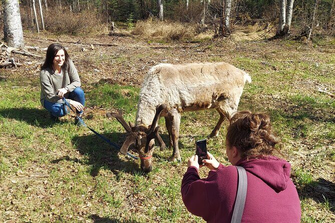 Reindeer Meet and Feed - Talkeetna - Final Thoughts: Who Should Consider This Tour