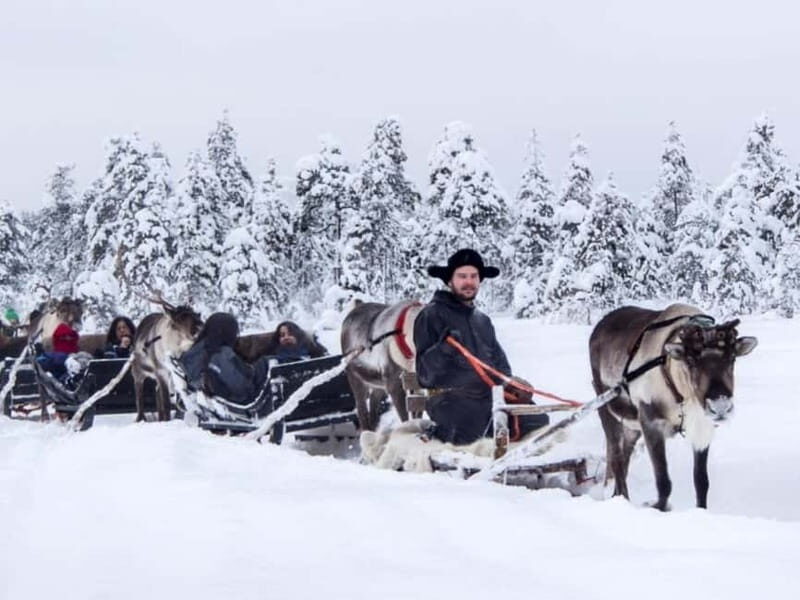 Reindeer Safari at a 200-Year-Old Farm & Long Sled Ride - Reindeer Safari at a 200-Year-Old Farm & Long Sled Ride: An Authentic Arctic Adventure