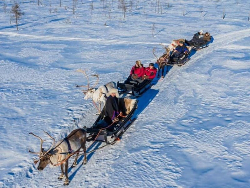 Reindeer Safari at a 200-Year-Old Farm & Long Sled Ride - FAQs