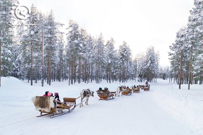 Reindeer Safari in Arctic Wilderness - Final Thoughts