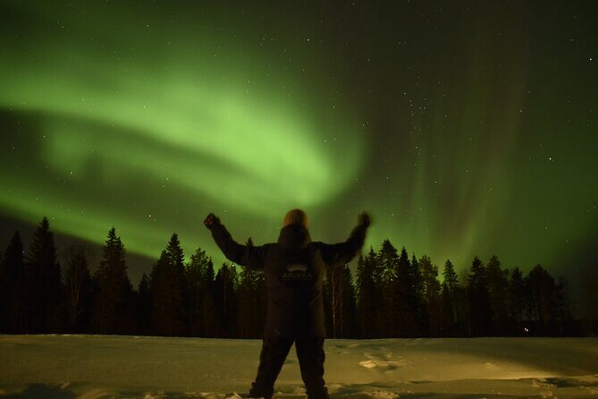 Reindeer sleigh ride across the night in Apukka Resort Rovaniemi - Overview of the Reindeer Sleigh Experience