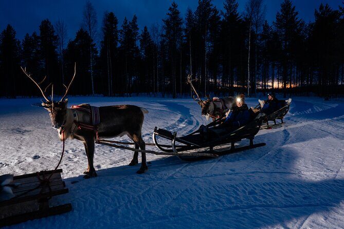 Reindeer sleigh ride across the night in Apukka Resort Rovaniemi - Transportation and Group Size