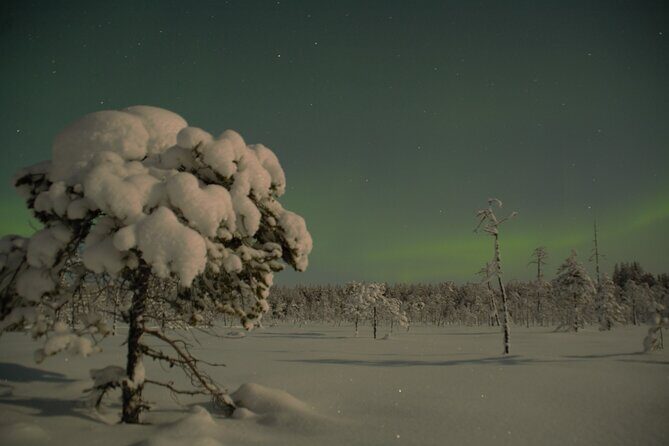 Reindeer sleigh ride across the night in Apukka Resort Rovaniemi - Practical Tips for Travelers