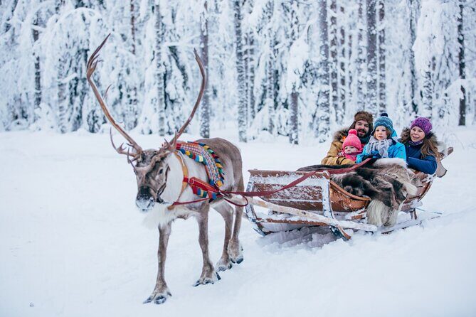 Reindeer Sleigh Ride and Farm Experience from Rovaniemi - A Deep Dive into the Experience