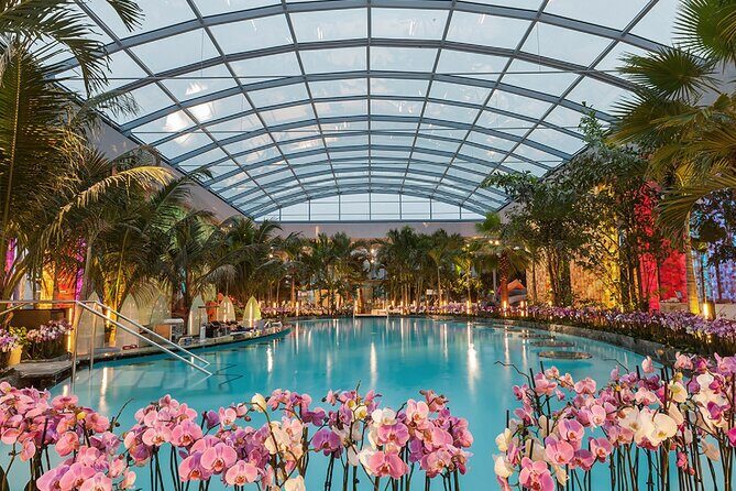 Relax and Fun at Thermal Spa Bucharest (Admission Ticket) - Key Points