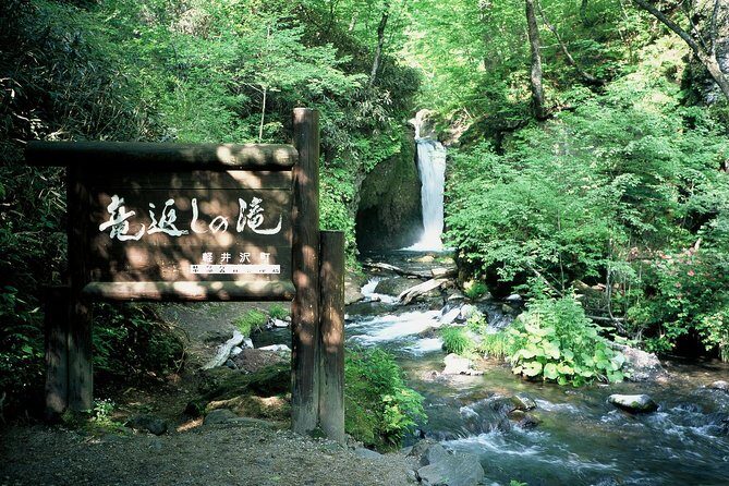 Relax and refresh in Karuizawa Forest! Shinanoji down trekking around two people - Authentic Traveler Insights