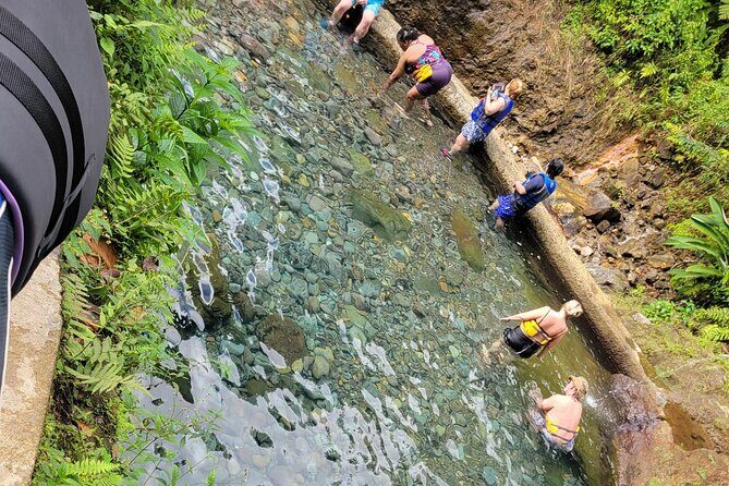 Relax in Hot Springs and swim in Titou Gorge and Trafalgar Falls - Understanding the Practical Details