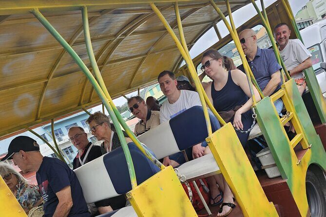 Relax in Hot Springs and swim in Titou Gorge and Trafalgar Falls - Who Will Love This Tour?