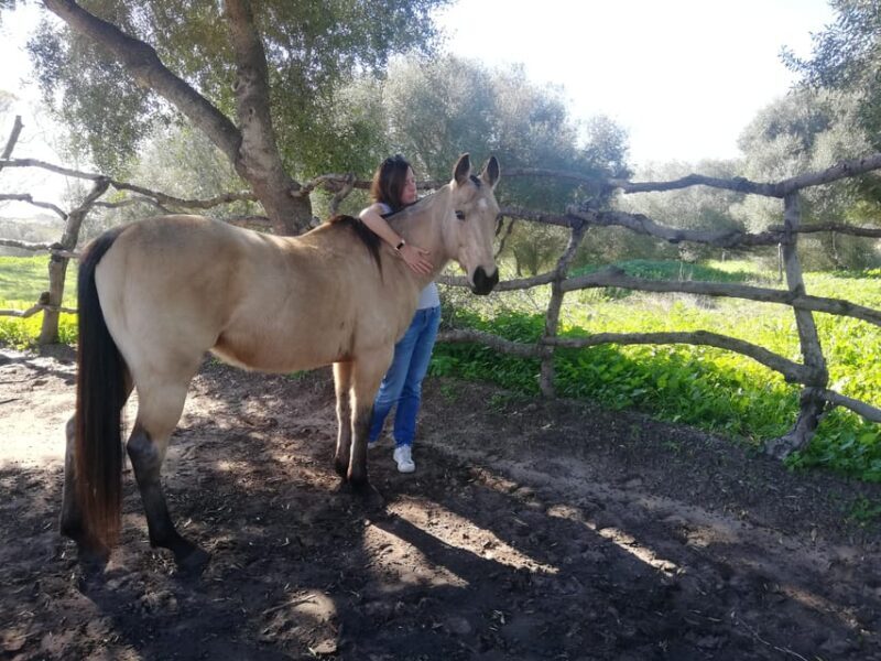 Relax & Mindfulness with Horses in Vejer de la Frontera - Final Thoughts