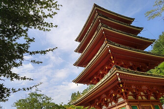 Relaxed Nara Tour from Osaka: Hasedera and Muroji Temples - The Practicalities: What To Expect