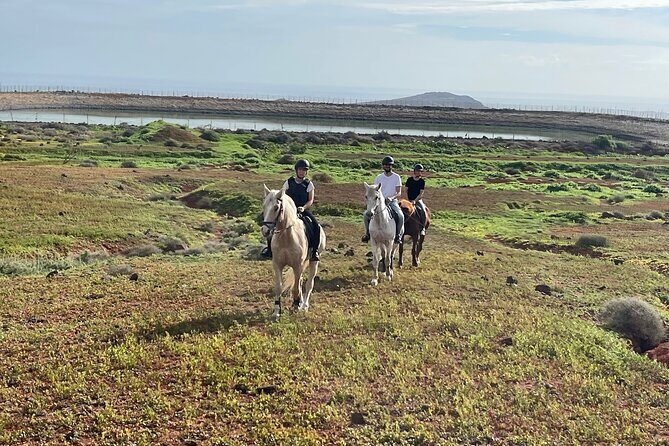 Relaxing Horse Riding Tour in Gran Canaria - An In-Depth Look at the Gran Canaria Horse Riding Experience