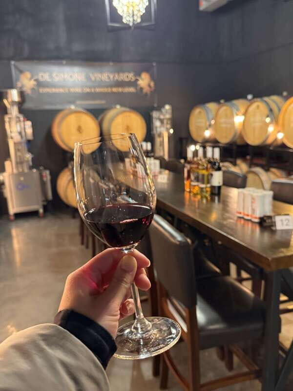 Relaxing Lunch & Wine Tour through Niagara's Wine Country - An In-Depth Look at the Tour Experience