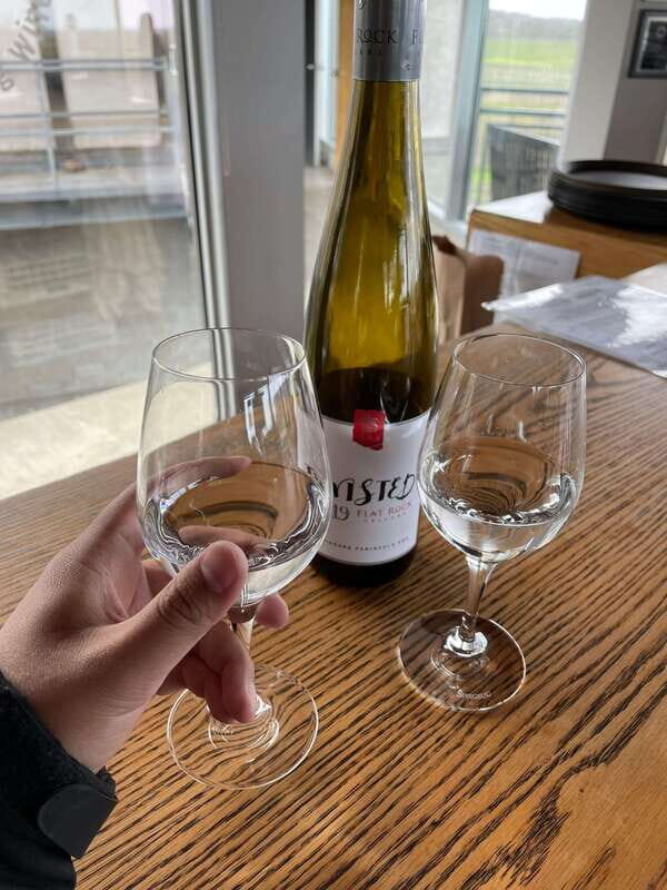 Relaxing Lunch & Wine Tour through Niagara's Wine Country - The Practical Side: What You Need to Know