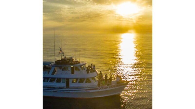 Relaxing Sunset/Evening Cruise in Newport Beach - Key Points