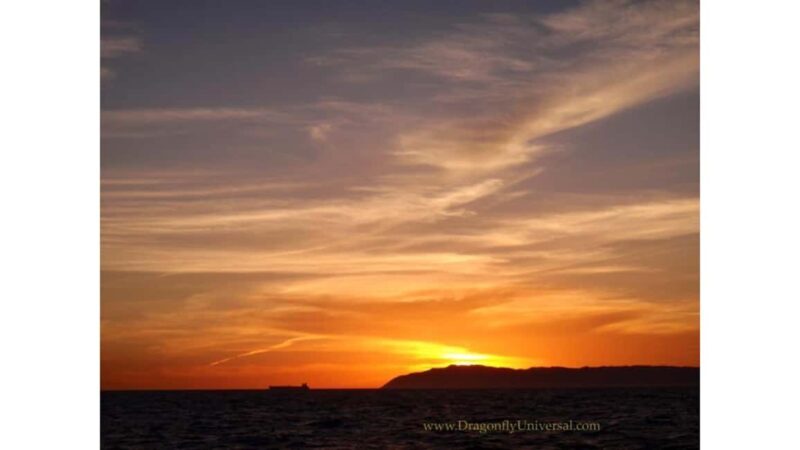 Relaxing Sunset/Evening Cruise in Newport Beach - Who Is This Suitable For?