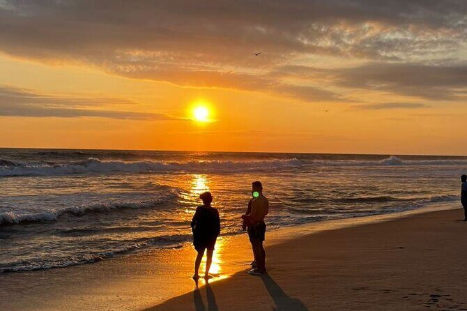 Release of Sea Turtles at Sunset - Why Choose the Sunset Sea Turtle Release in Puerto Escondido?