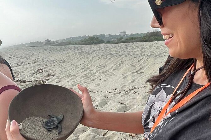 Release of Sea Turtles at Sunset - Final Thoughts