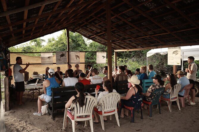Release of Sea Turtles in Camp Tortuguero - Final Thoughts