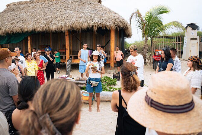 Releasing Turtles During the Sunset - The Itinerary: What to Expect