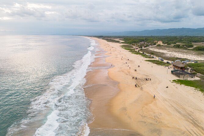 Releasing Turtles During the Sunset - Who Is This Tour Best For?