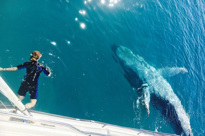 Remote K'gari (Fraser Island) & Whale Experience - Exploring Fraser Island’s Remote West Coast