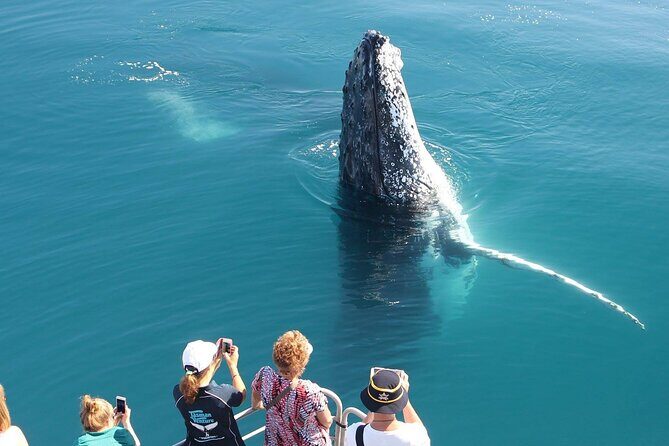 Remote K'gari (Fraser Island) & Whale Experience - FAQs
