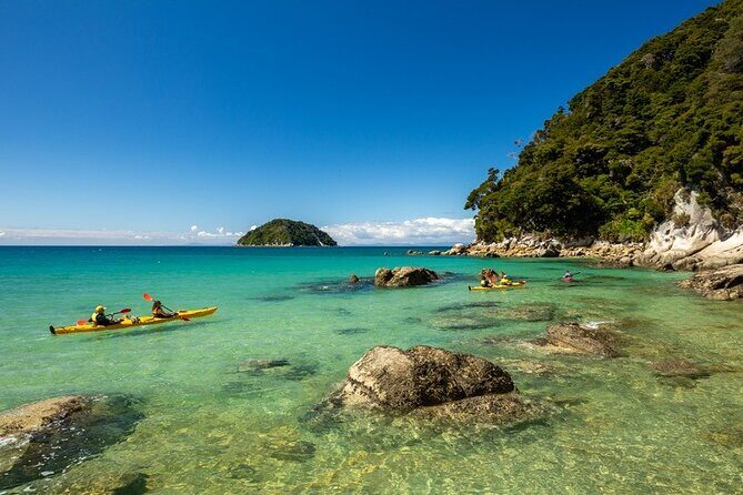 Remote Marine Reserve - Guided Kayaking - New Zealand - Detailed Look at the Tour Itinerary and Experience