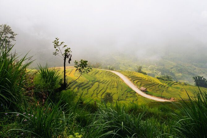 Remote Sapa Tour in Countryside of Nam Cang  Nam Nhiu Villages - An In-Depth Look at the Itinerary
