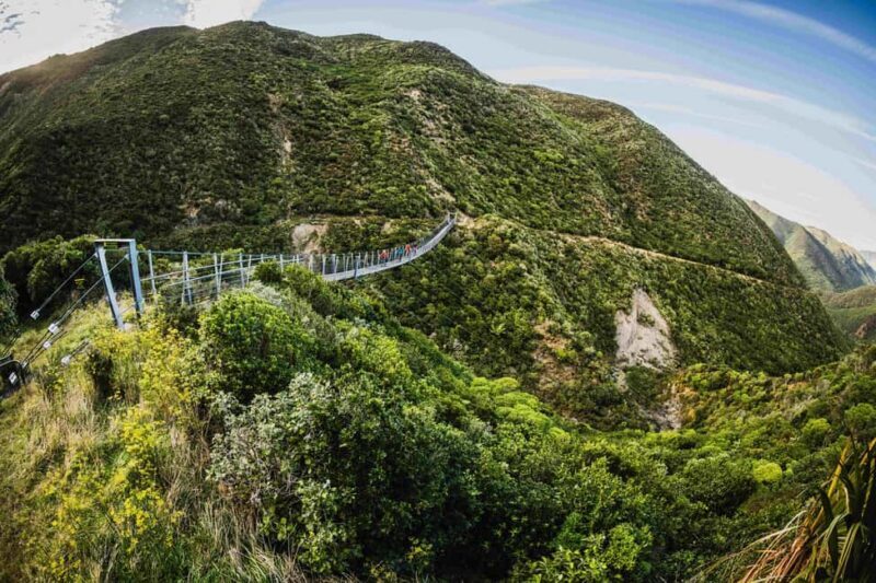 Remutaka Rail Trail eBike Shore Excursion for Cruise Ships - Key Points