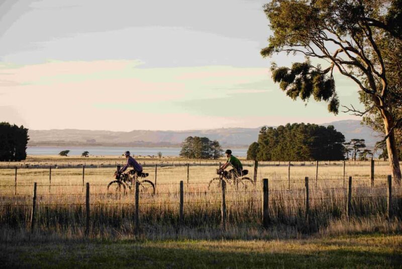 Remutaka Rail Trail eBike Shore Excursion for Cruise Ships - What Makes This Tour Stand Out