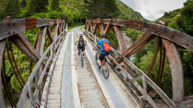 Remutaka Rail Trail eBike Shore Excursion for Cruise Ships - Challenges and Considerations