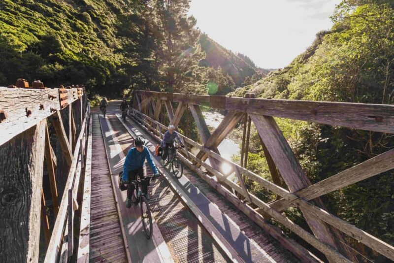 Remutaka Rail Trail eBike Shore Excursion for Cruise Ships - Authenticity and Experience Quality