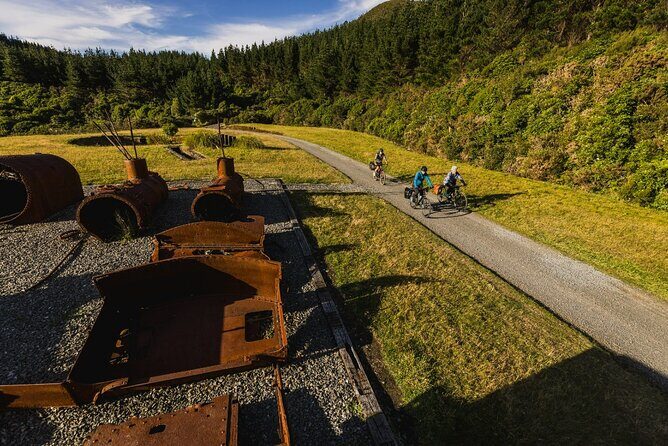 Remutaka Rail Trail Mountain Bike Explorer Cycle Tour - An In-Depth Look at the Remutaka Rail Trail Cycle Tour