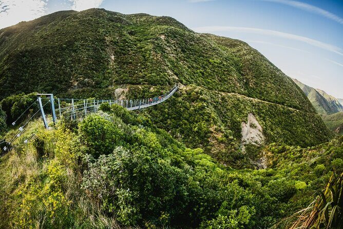 Remutaka Rail Trail Mountain Bike Explorer Cycle Tour - Key Points