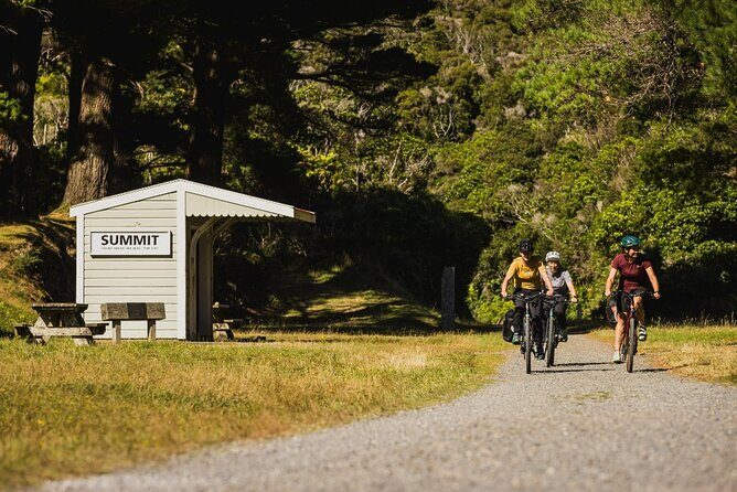 Remutaka Rail Trail Mountain Bike Explorer Cycle Tour - Discovering Wellington’s Natural Beauty on Two Wheels