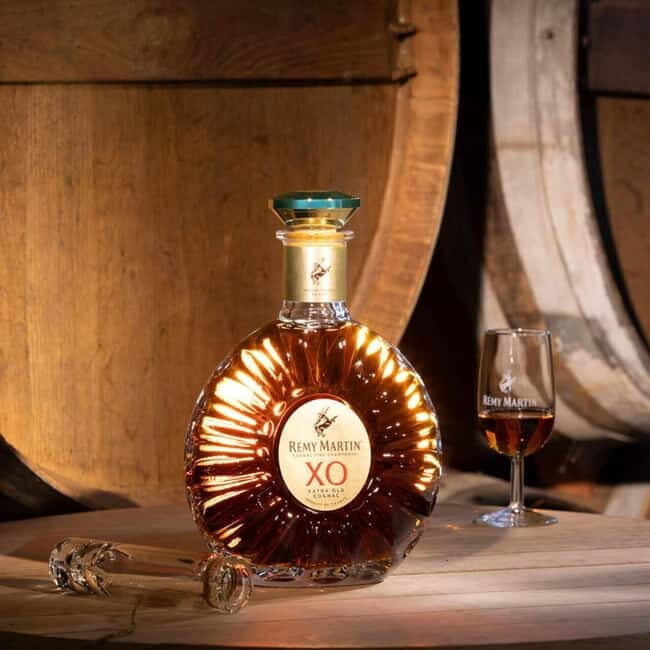 Rémy Martin 300th Anniversary Tour - Key Points