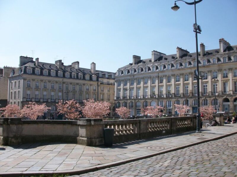 Rennes: Private Guided Walking Tour - Key Points