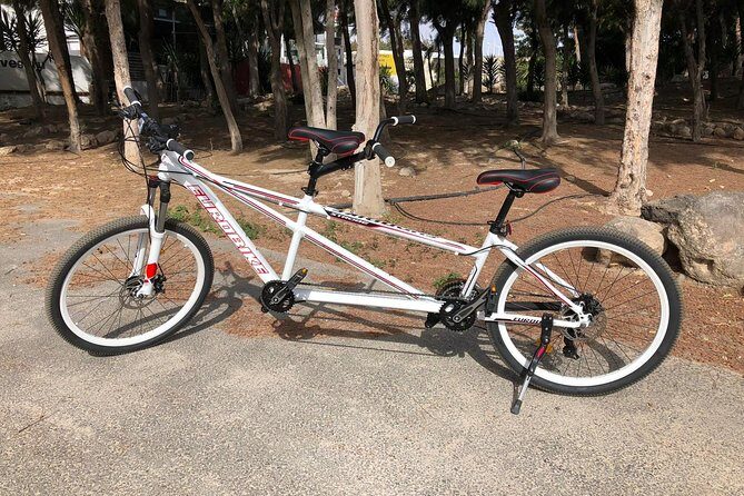 Rent A Bike (electric & Normal) Corralejo - The Range of Bikes and How to Choose